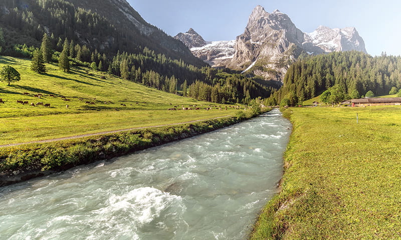 Privatkunden – BEKB